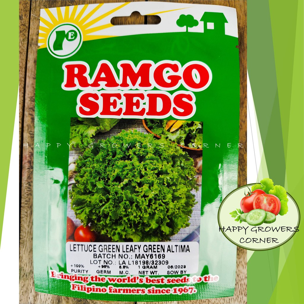 LETTUCE LEAFY GREEN ALTIMA (1 GRAM) RAMGO SEEDS | Shopee Philippines