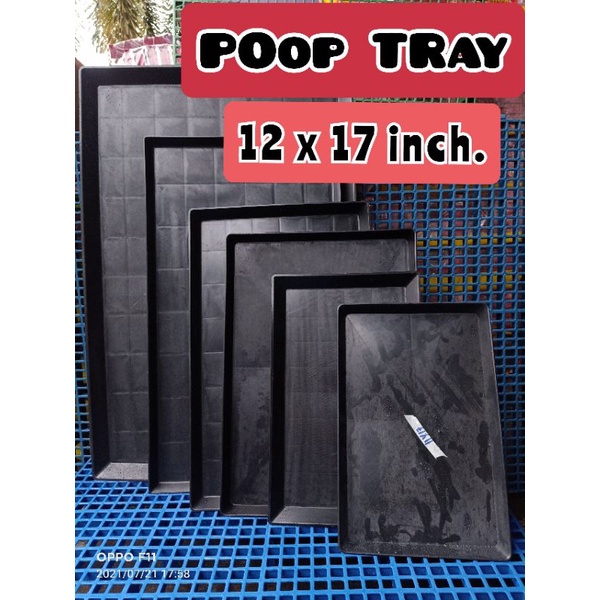 Poop Tray 12x17 inch | Shopee Philippines
