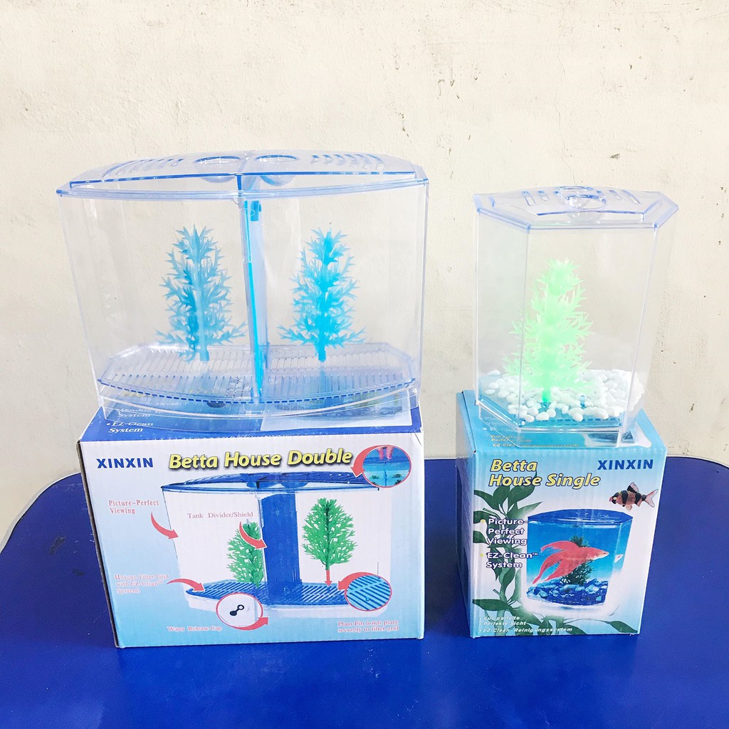 Shop betta fish for Sale on Shopee Philippines