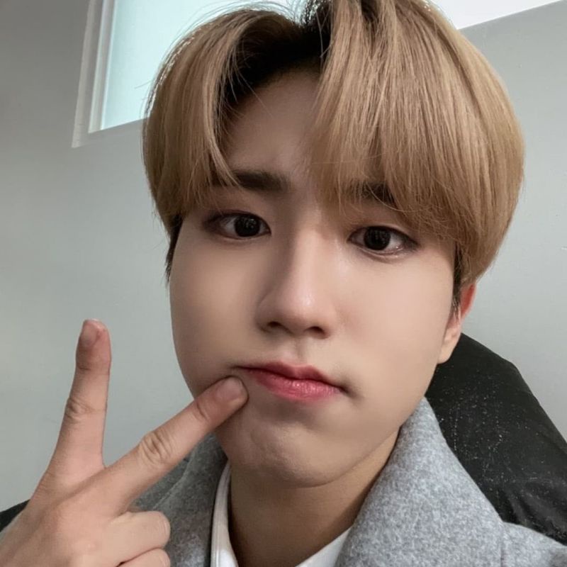 Stray Kids SKZ Merch | Shopee Philippines