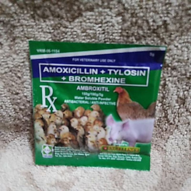 AMBROXITIL POWDER 5G | Shopee Philippines