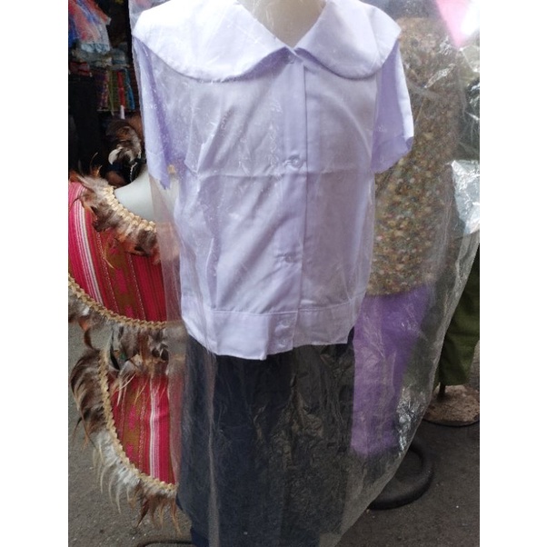 School Checkered Skirts for Girls (Palda) | Shopee Philippines