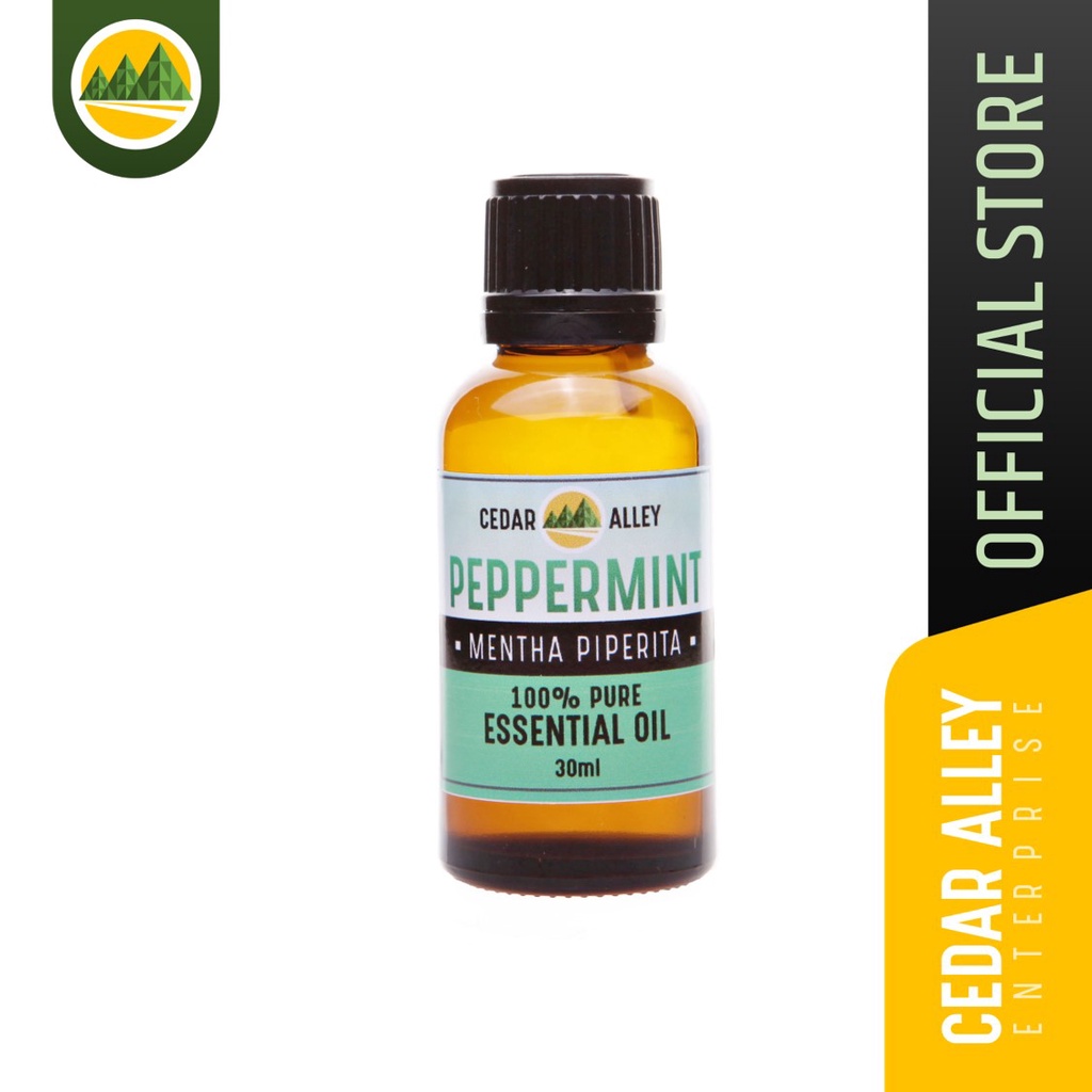Peppermint Pure Essential Oil 10ml MINI / 30ml | Shopee Philippines