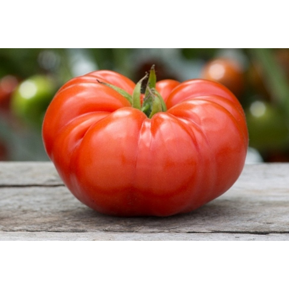 Rare Vegetable seeds and Fruit seeds 3rd Batch | Shopee Philippines