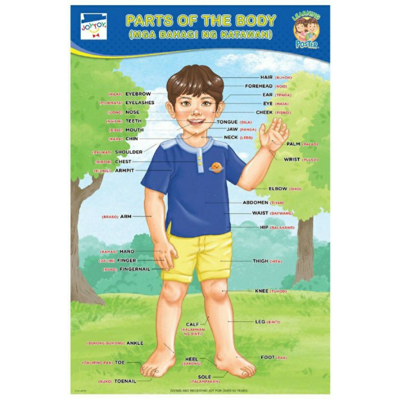 Joytoy Early Learning Posters 2,3,4(Min of 3 posters/order) | Shopee ...