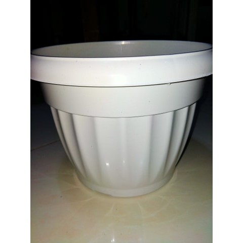 set of 5pcs big white round pot (10x7.5inches) - 65 pesos each only ...