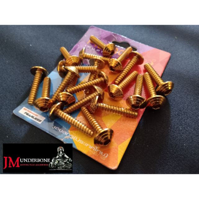 Heng Airbox Screw Universal(Sold per Piece) | Shopee Philippines