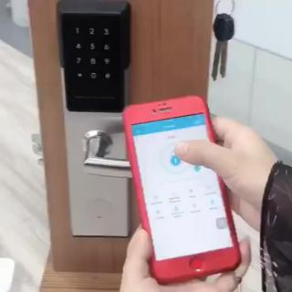 SMDC Approved Stainless Steel TTLock Smart Digital Door Lock Password ...