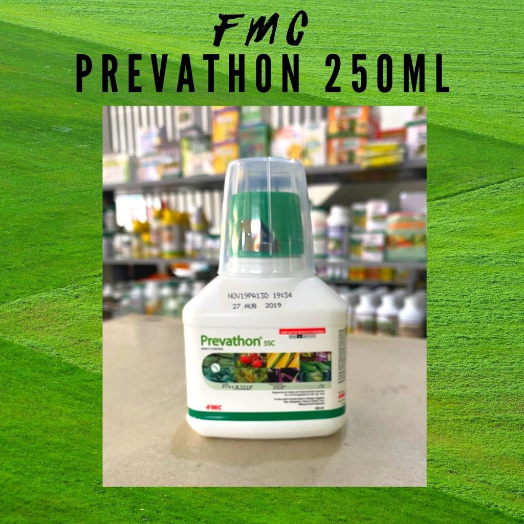 FMC PREVATHON 500ml and 250ml INSECT CONTROL | Shopee Philippines