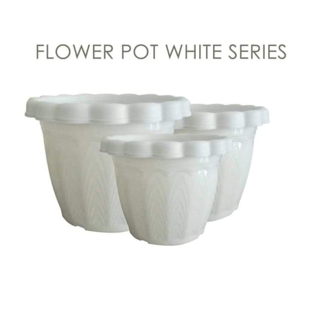 CLEARANCE SALE! Sunflower Flower Pot Off White editionL-XXL Proudly ...