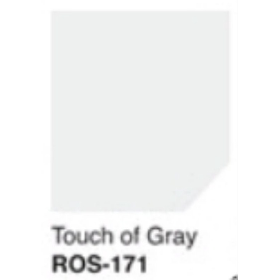 Rain or Shine Elastromeric Paint | Shopee Philippines