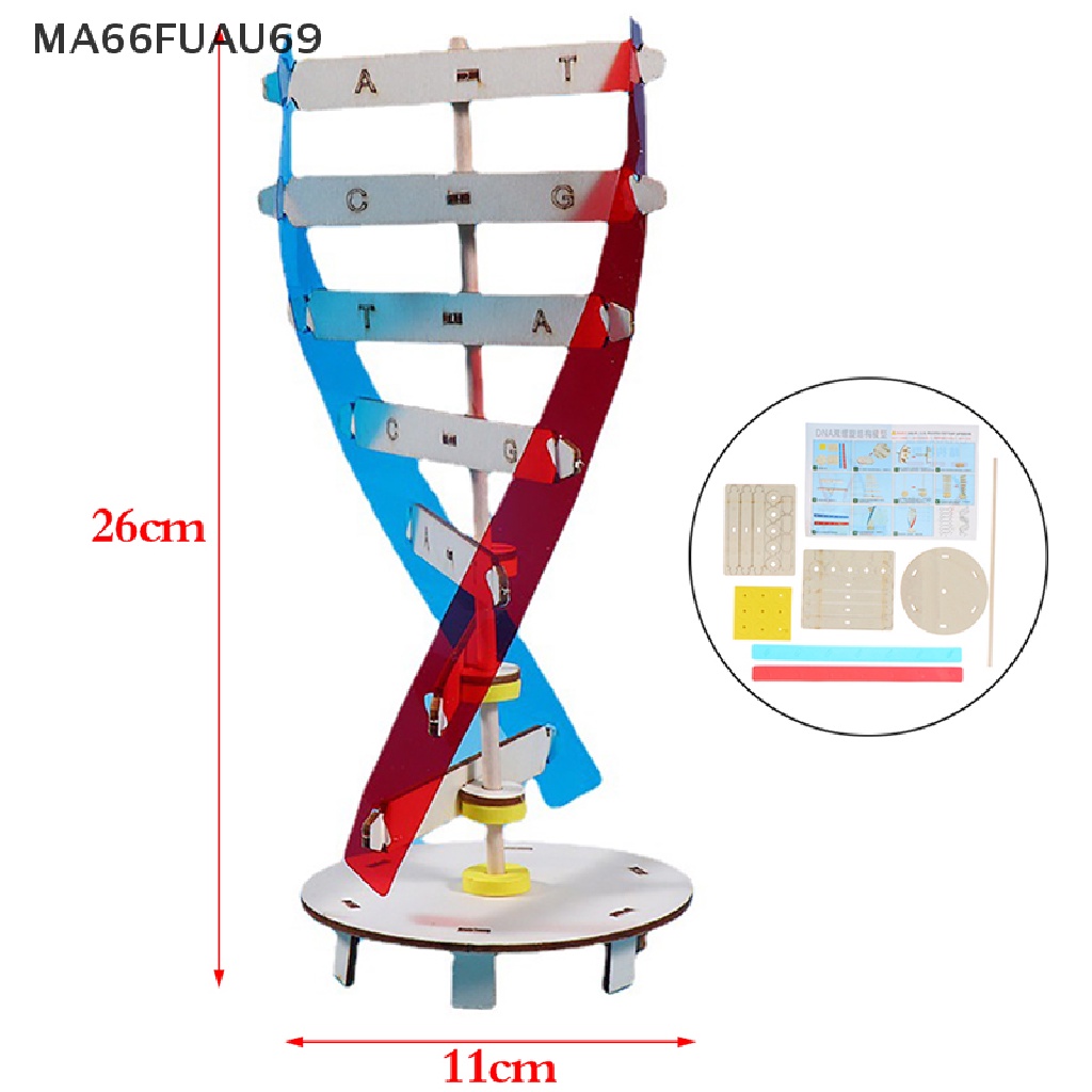 MA STEM Toy DIY DNA Models Double Helix Science Human Genes Educational ...