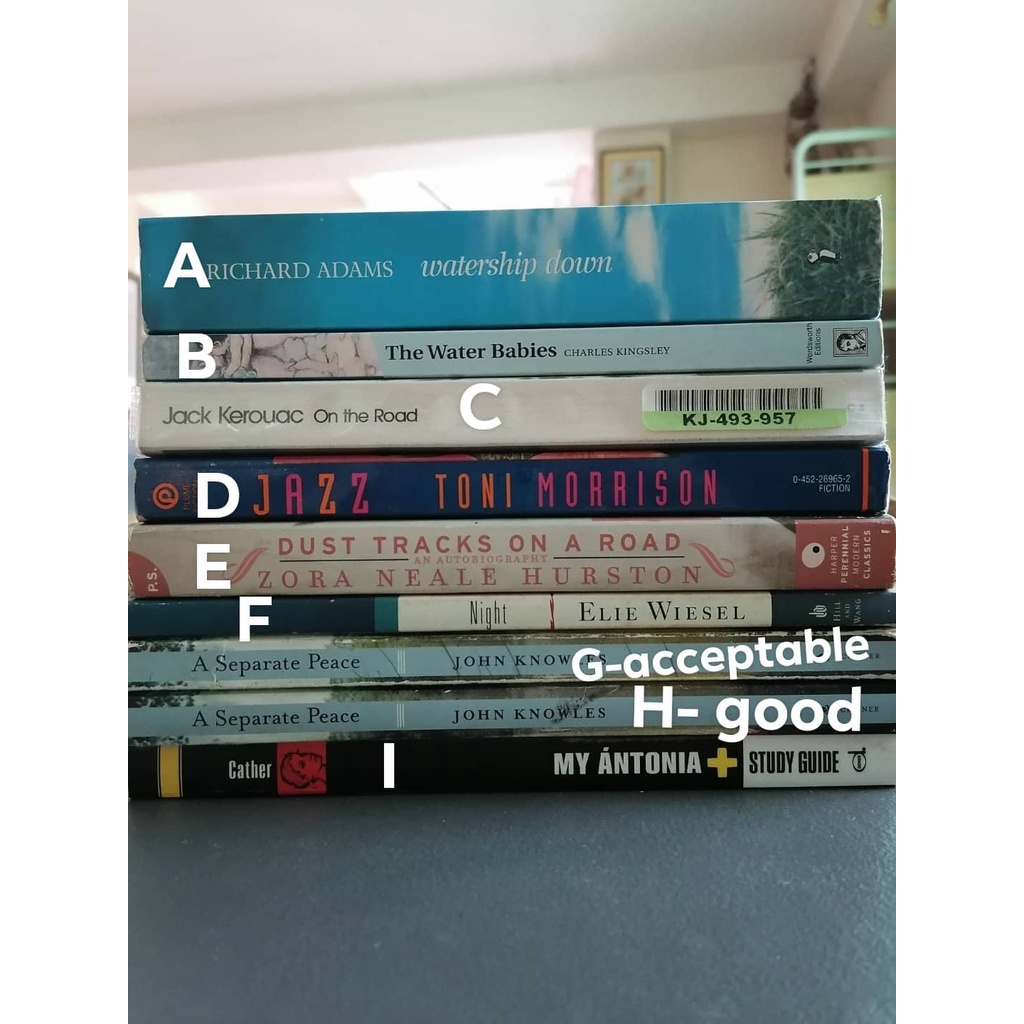 Assorted Classic Books Richard Adams Jack Kerouac Elie Wiesel John ...