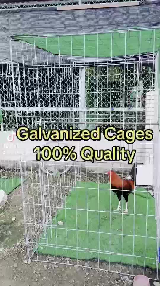Premium Foldable Galvanized Cage 3x5x5 / Fly Pen / Sabong Cage ... Premium Foldable Galvanized Cage 3x5x5 / Fly Pen / Sabong Cage ...