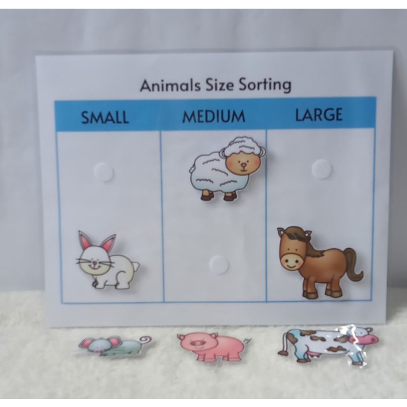 Animals Size Sorting Interactive Laminated Toddlers / Preschool ...