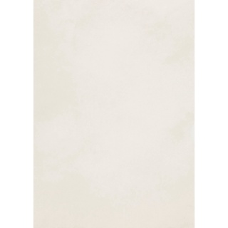 Curious Translucents Clear Vellum Paper - 10 Sheets ( | Shopee Philippines