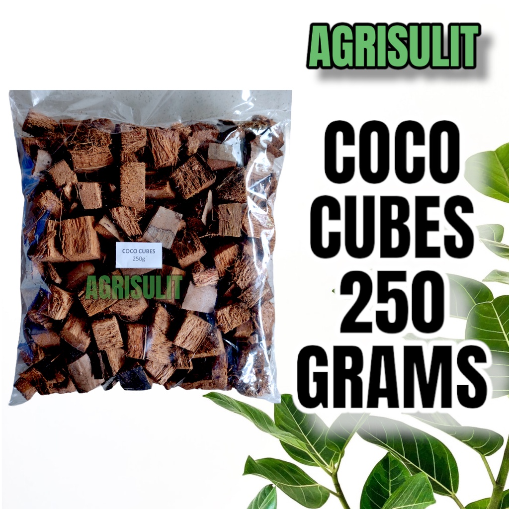COCO CUBES from COCONUT HUSK - 250 GRAMS | Shopee Philippines