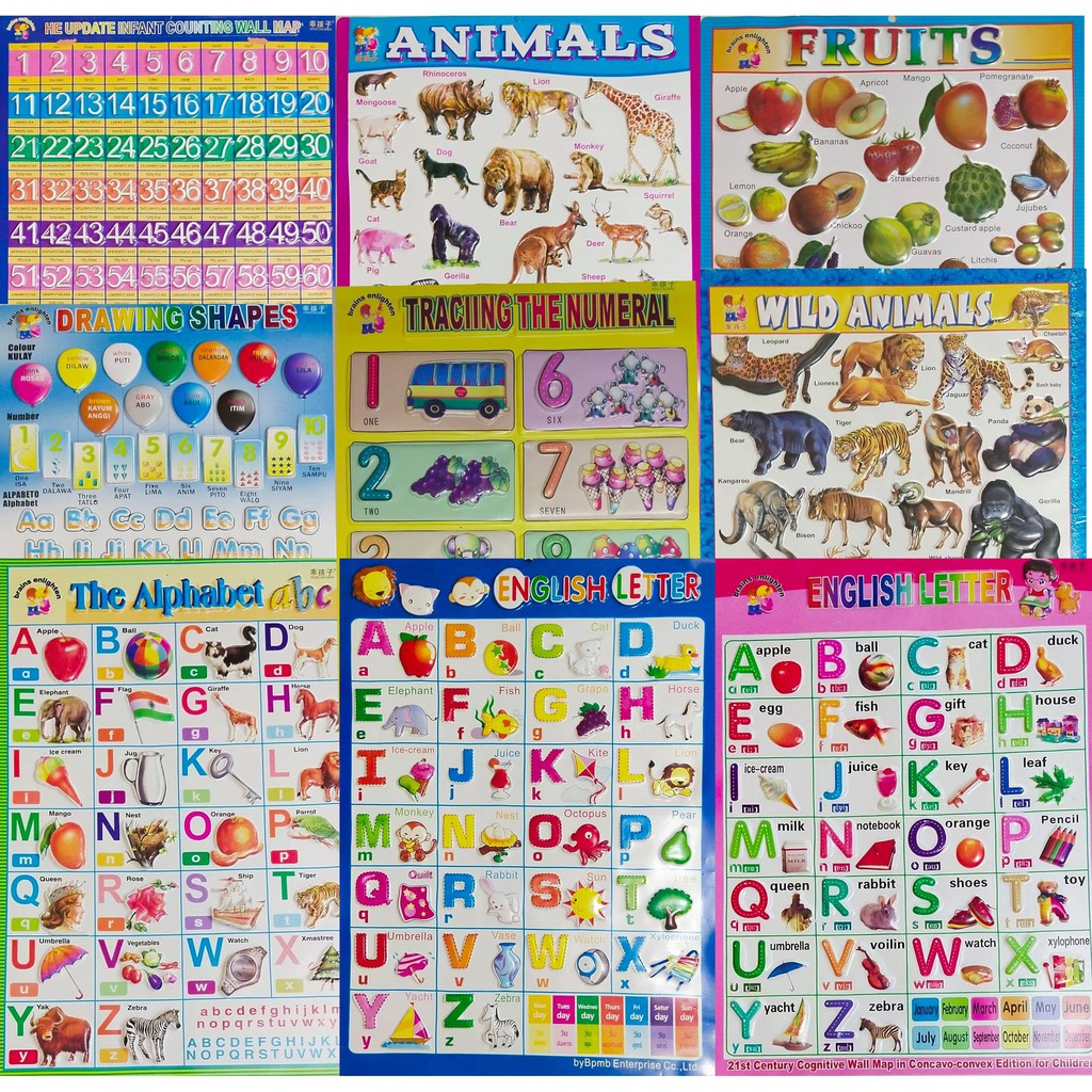 MINIMUM OF 3PCS PER ORDER PVC Plastic Educational Chart Embossed Charts ...