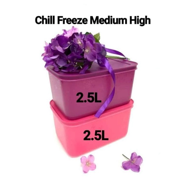 TUPPERWARE CHILL FREEZE | Shopee Philippines