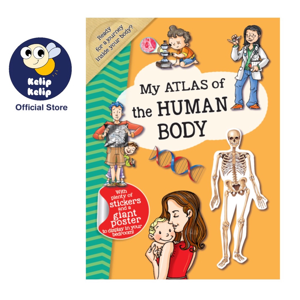 Atlas of The Human Body Activity Book with Stickers & Poster For Kids ...