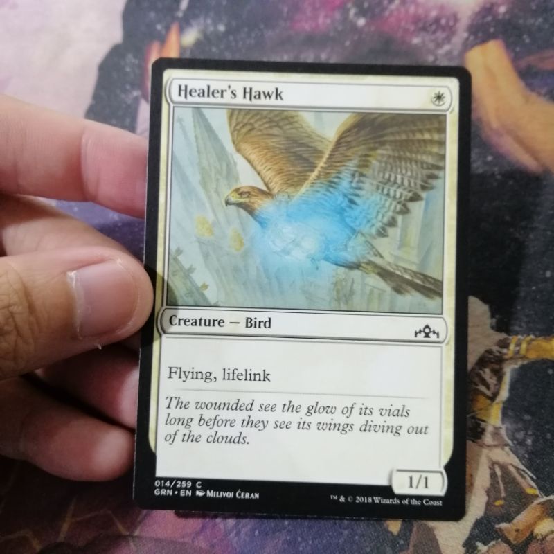 1 Healer's hawk GRN guilds of ravnica white common | Shopee Philippines