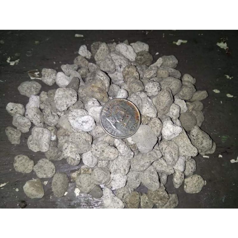 Pumice stone biological filter medias for aquarium | Shopee Philippines