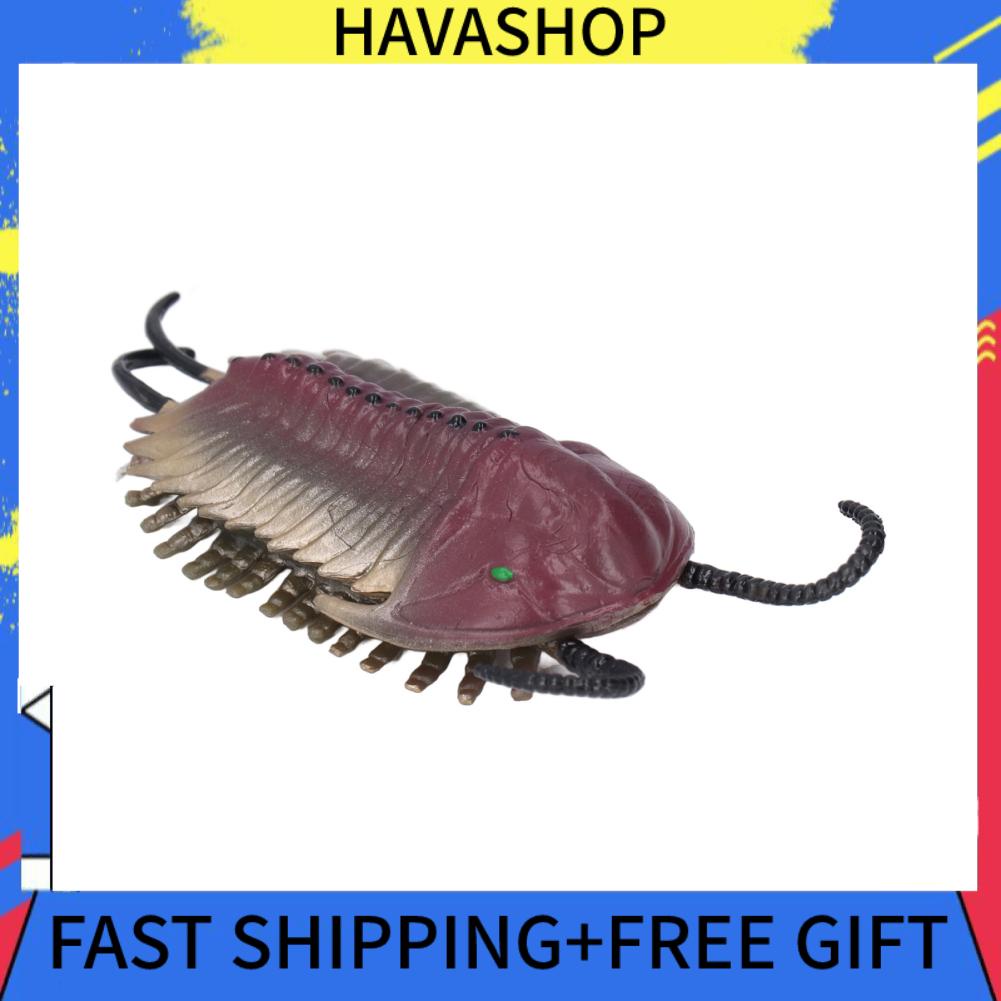 Havashop Simulated Trilobite Model Figurine Ancient Marine Animal ...