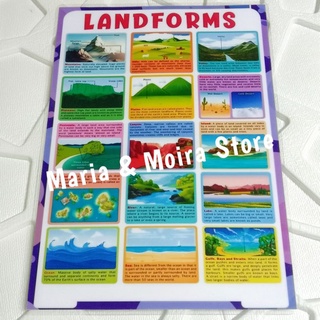 Landforms Chart | Anyong Lupa I A4 Size | Laminated Educational Wall Chart | Chart for Kids ...