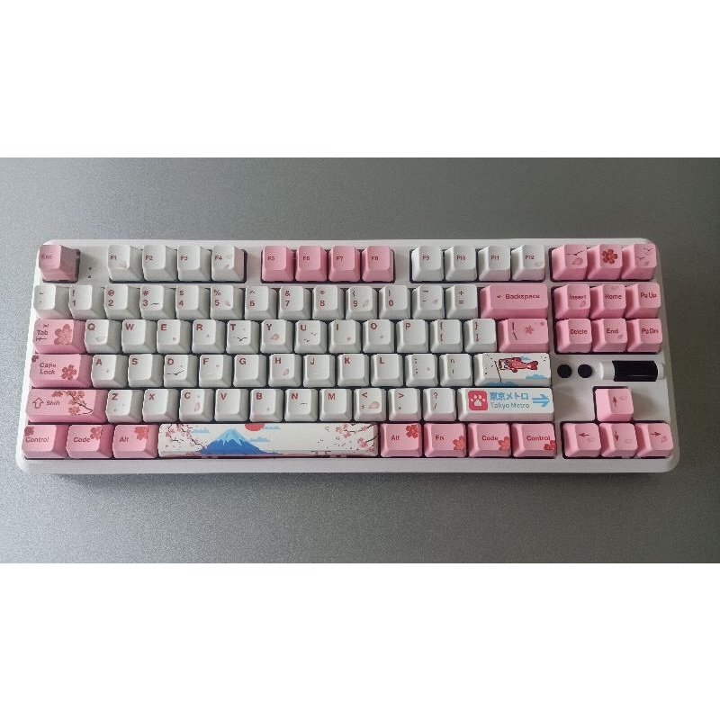 Custom Rakk Lam-Ang Pro Mechanical Keyboard | Shopee Philippines
