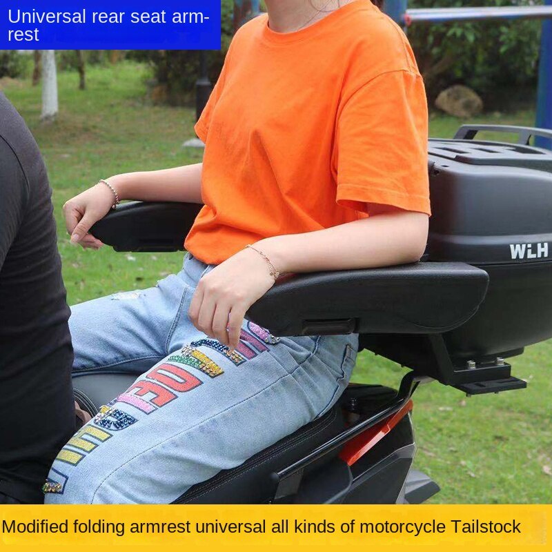 Motorcycle Rear Seat Safety Armrest Foldable Rosemary Children ...