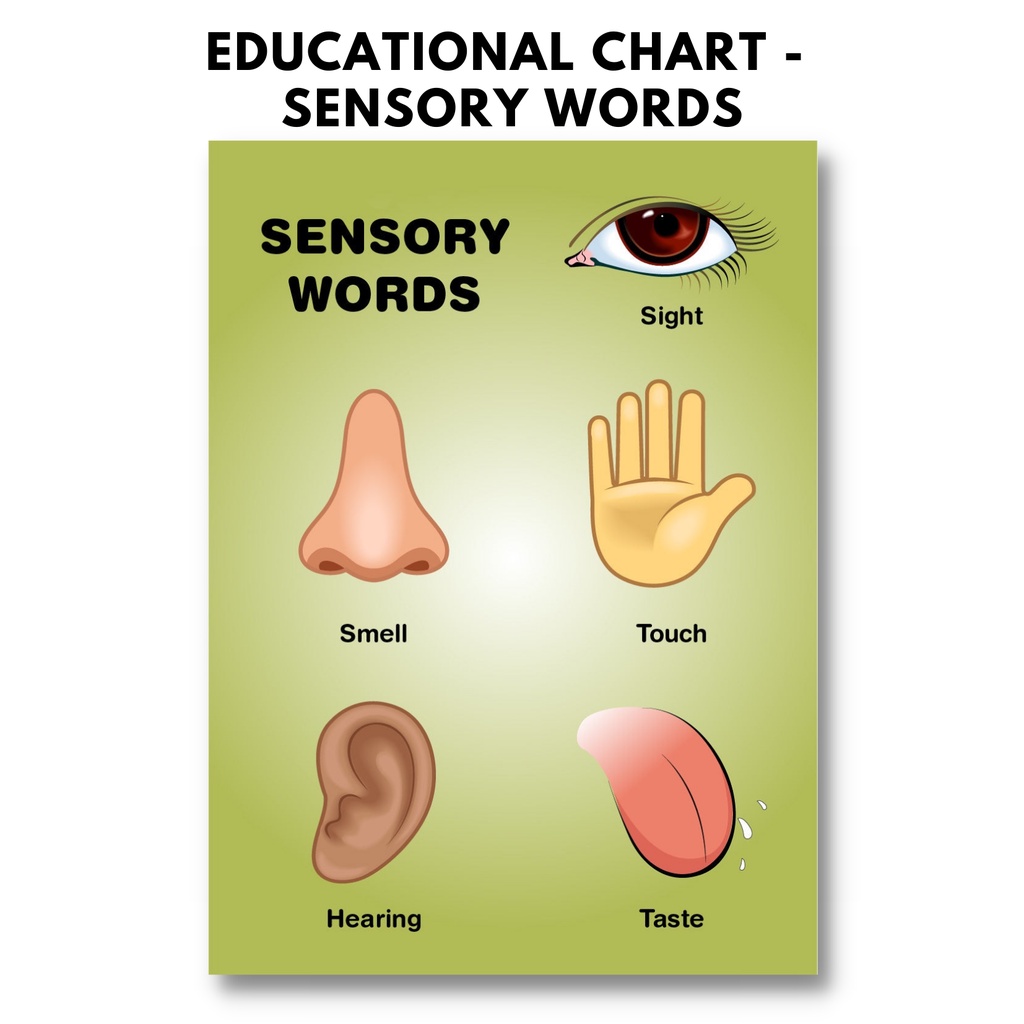 Laminated Poster / Chart, SENSORY WORDS Chart, A4 Size | Shopee Philippines