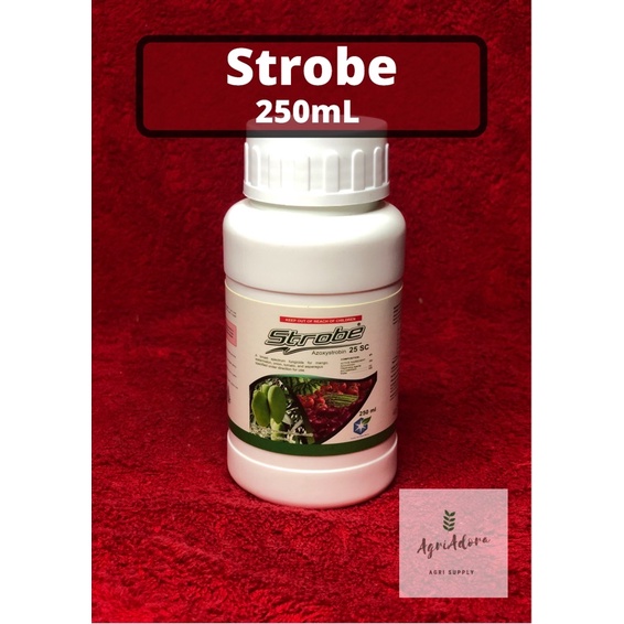 Strobe 25 SC Azoxystrobin 250mL (Sinochem) | Shopee Philippines