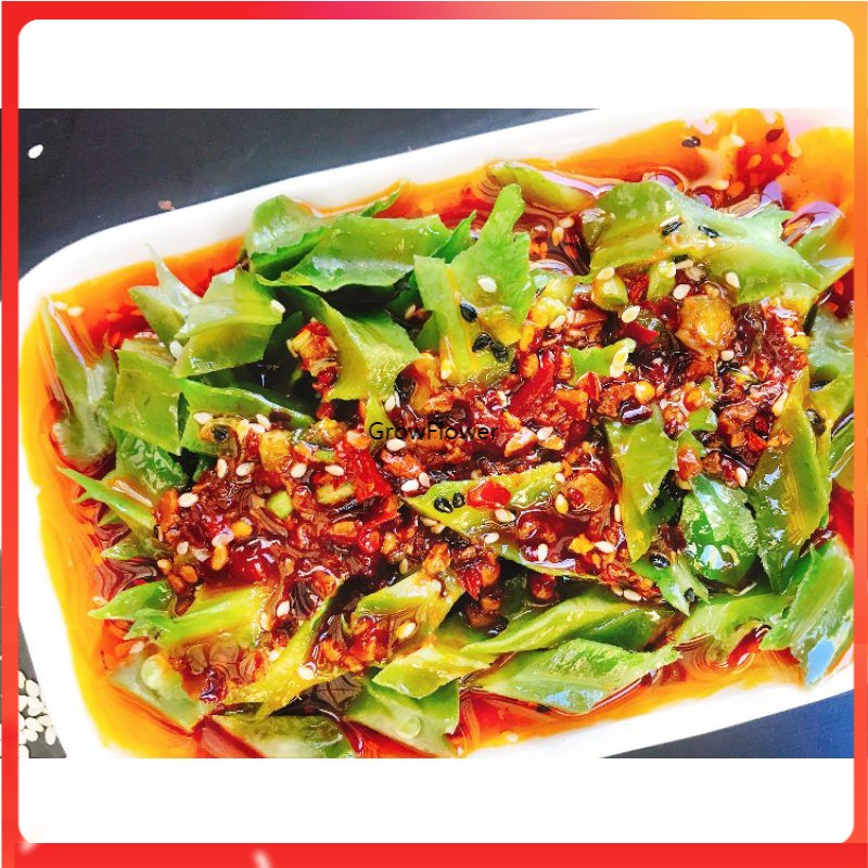 Winged Beans Sigarilyas Sigarilyas Seeds Vegetables 10 Pcs | Shopee ...