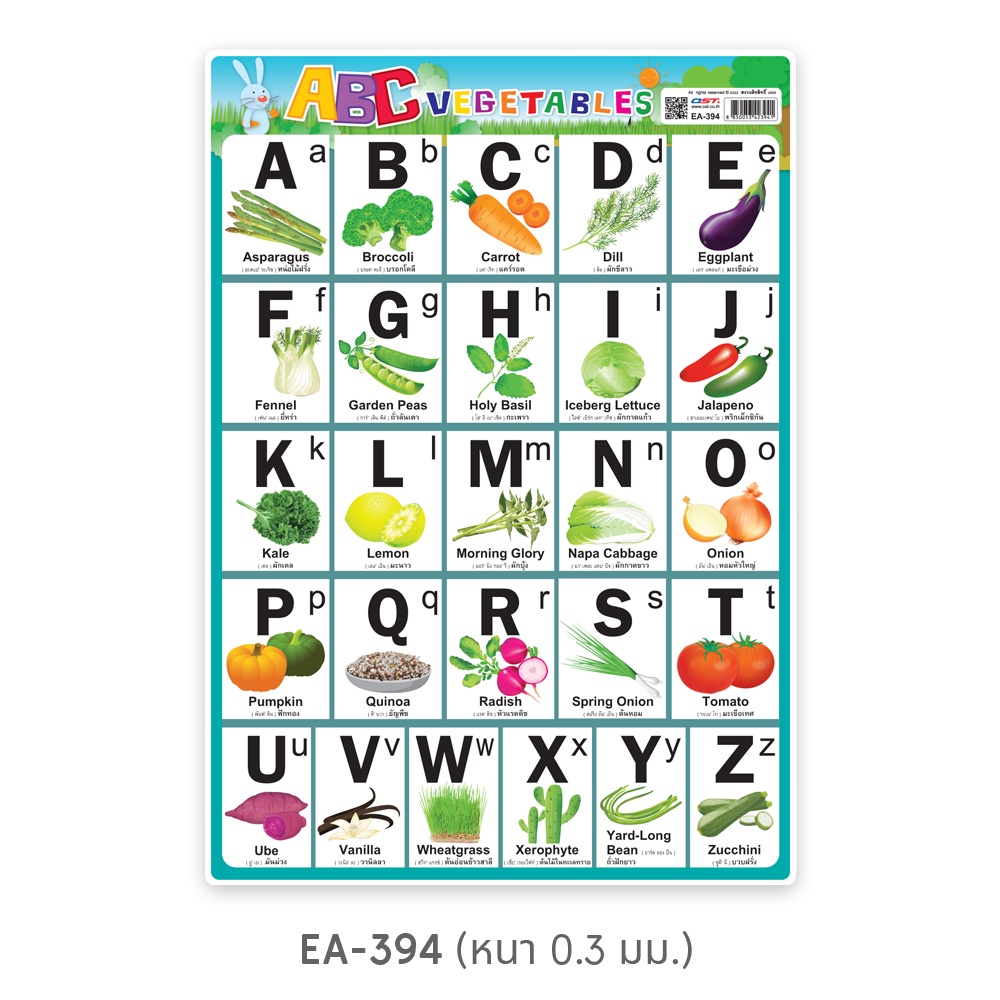 A4 Size Poster ABC Vegetables EA-394 | Shopee Philippines