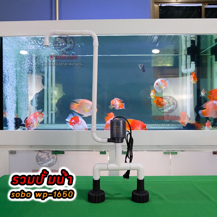 Mini Skimmer Set 2 Heads Bottom Only For Aquarium 18 "To 48" Black ...