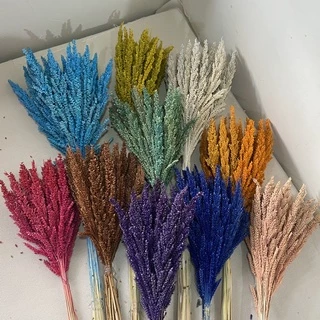 trigo - Best Prices and Online Promos - Sept 2025 | Shopee Philippines