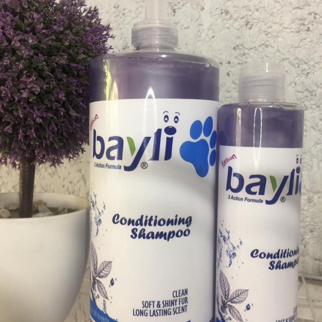 1 LITER BAYLI CONDITIONING SHAMPOO | Shopee Philippines
