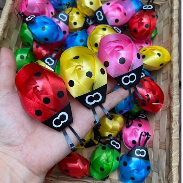 Ladybug Insects (Empty) | Shopee Philippines