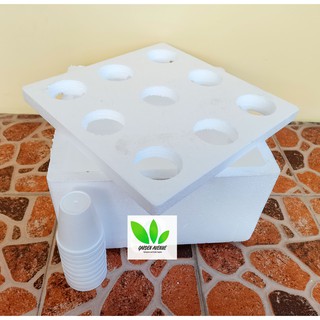 HYDROPONICS 9 HOLES GROW BOX - WITH 9 PCS. STYRO CUPS (WITH SLIT ...
