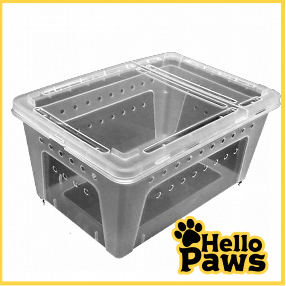 Hello Paws Basic Durable Reptile, Spider, Tarantula Terrarium and Cage ...
