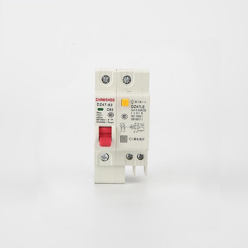 1 PCS DZ47LE-63 10A 16A 20A 25A 32A 40A 50A 63A household leakage protector RCCB miniature ...