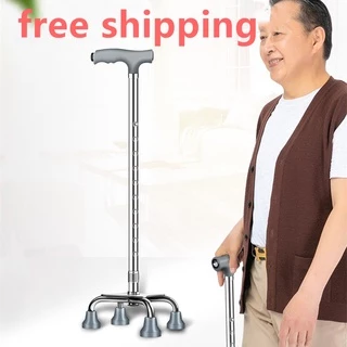 cane - Best Prices and Online Promos - Aug 2024 | Shopee Philippines