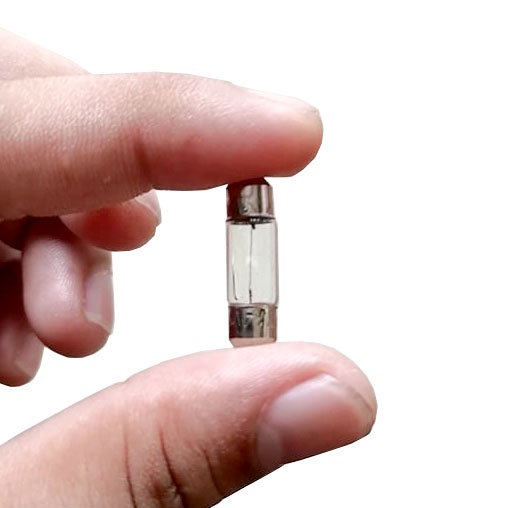 1PC PEANUT BULB DOME LIGHT 5w for Truck Bus 24V 36MM | Shopee Philippines