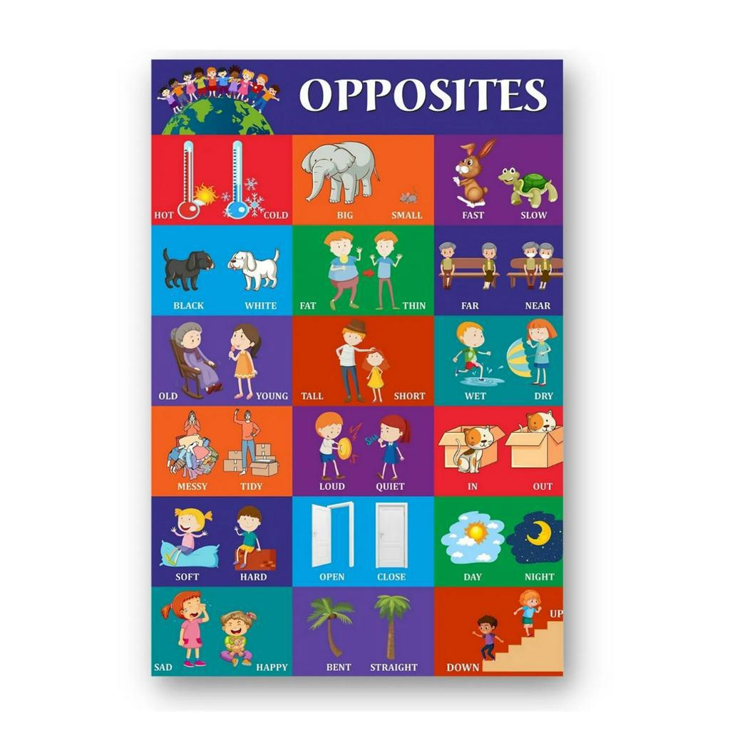 Laminated Opposites Charts, Educational Charts, Antonyms Charts for ...