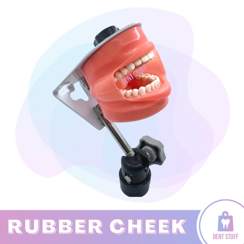 Rubber Cheeks for Typodont Articulator | Shopee Philippines
