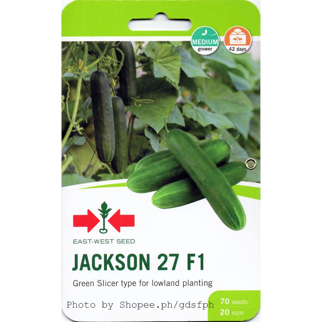 East-West Seed Pipino Variety 70 seeds (Original Pack) GDSFPH_S4 ...