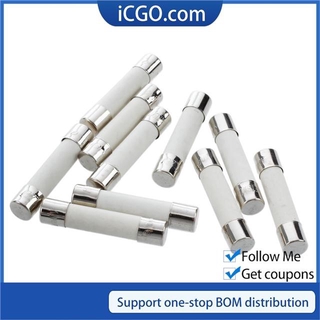 10pcs 5 * 20mm 6x30mm Ceramic Tube Fuses Fast Slow Fuse 250V 0.5A 1A 1.5A 2A 2.5A 3A 4A 5A 6.3A ...