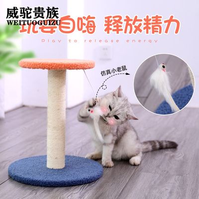 Cat climbing rack wooden multifunctional small cat tree cat platform ...
