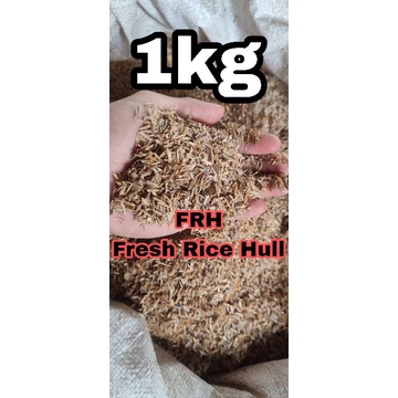 1kg Fresh Rice Hull o ipa for Plants | Shopee Philippines