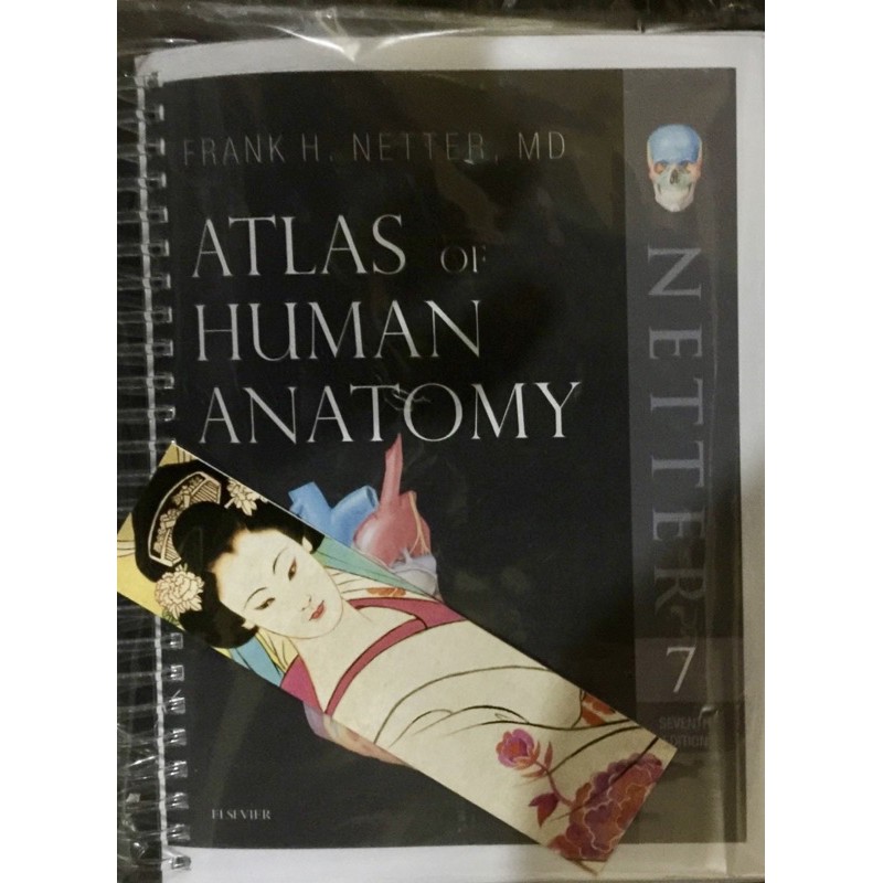 SALE Netter’s Atlas of Human Anatomy Flashcards Coloring Book Latest ...